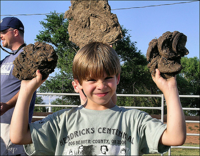 La mucca globale | Articoli | DLive Geografia