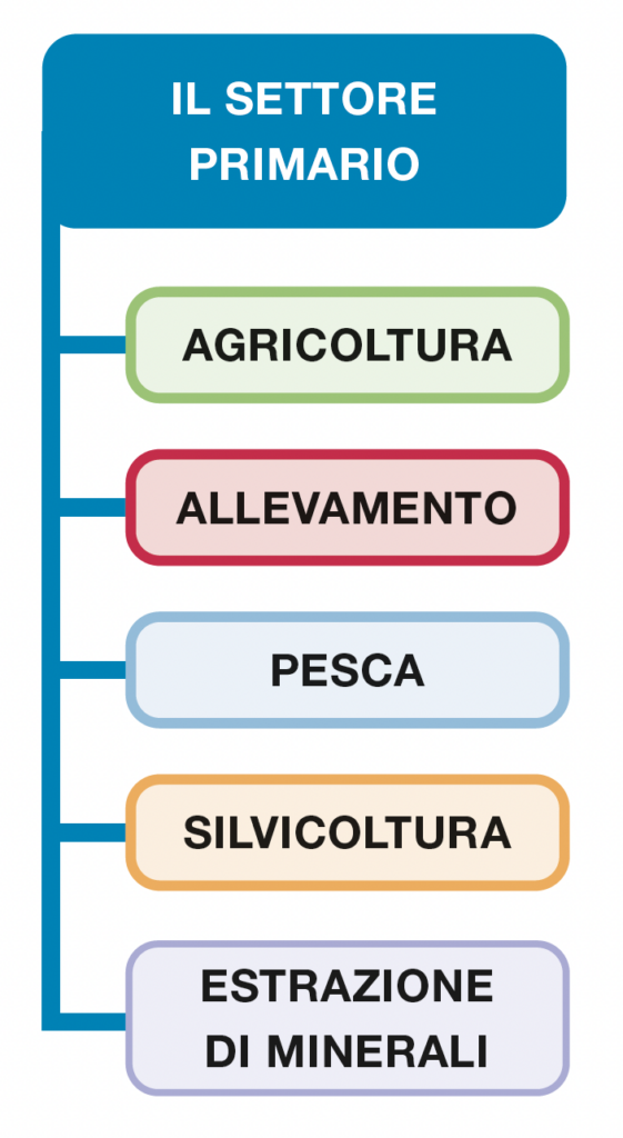 Geo inclusiva #09 - Il settore primario | Articoli | DLive Geografia