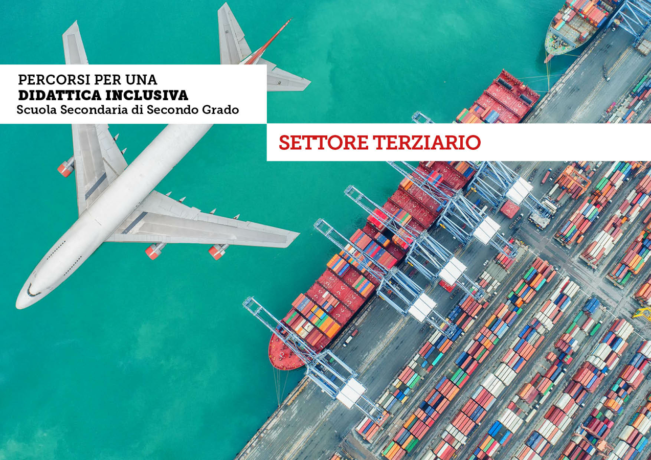 Geo inclusiva #11 - Il settore terziario | Articoli | DLive Geografia