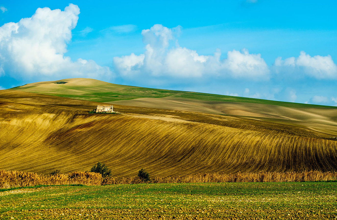 Paesaggi italiani: le Murge e lo spettacolare scenario delle gravine ...